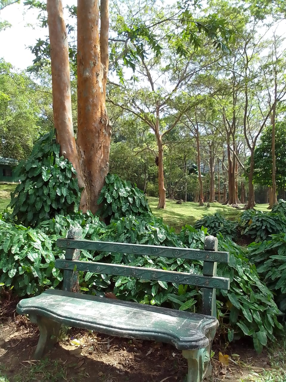 Seethawaka Botanical Garden