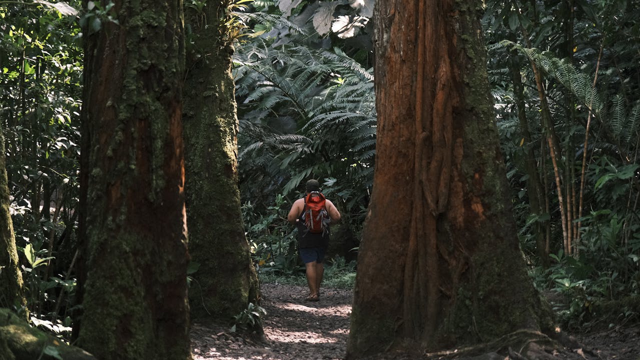 Seethawaka Botanical Garden